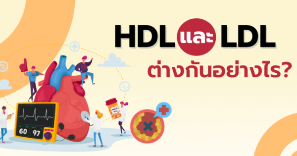 HDL และ LDL ต่างกันอย่างไร? | โรงพยาบาลเชียงใหม่ ฮอสพิทอล | โทร : 053 ...