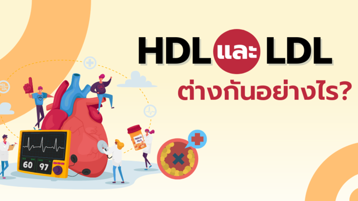 HDL และ LDL ต่างกันอย่างไร? | โรงพยาบาลเชียงใหม่ ฮอสพิทอล | โทร : 053 225 222